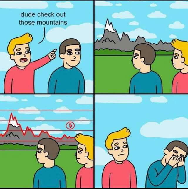 Bitfinity Weekly: Making An Impact